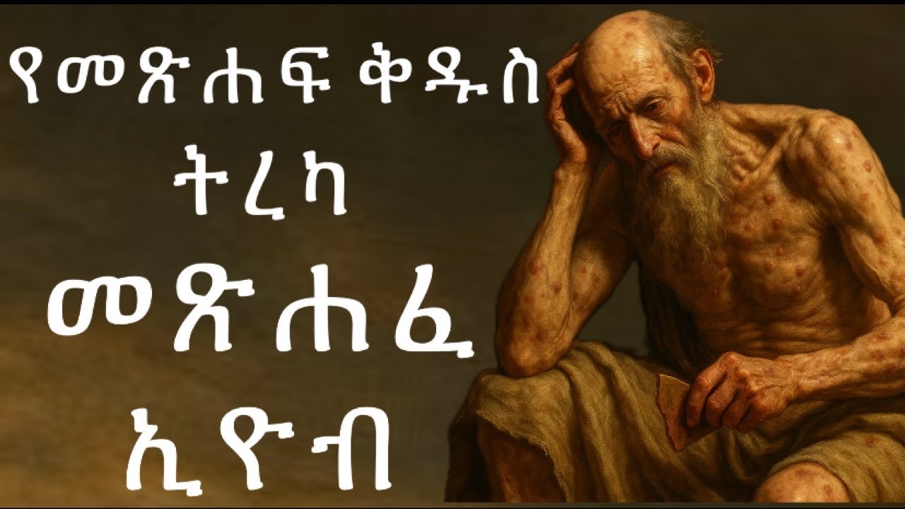  1 42 The Book Of Job Chapter 1 42 