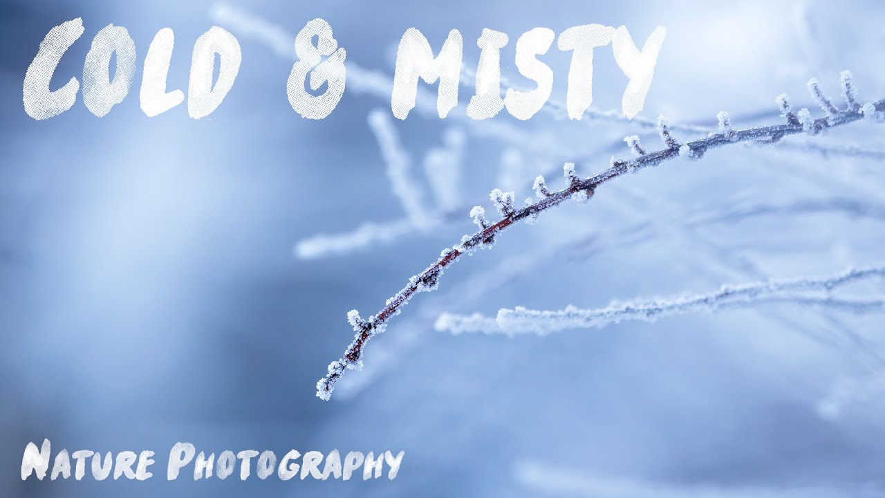 Cold and Misty Winters day | Nature Photography | Ep44 MP - YouTube