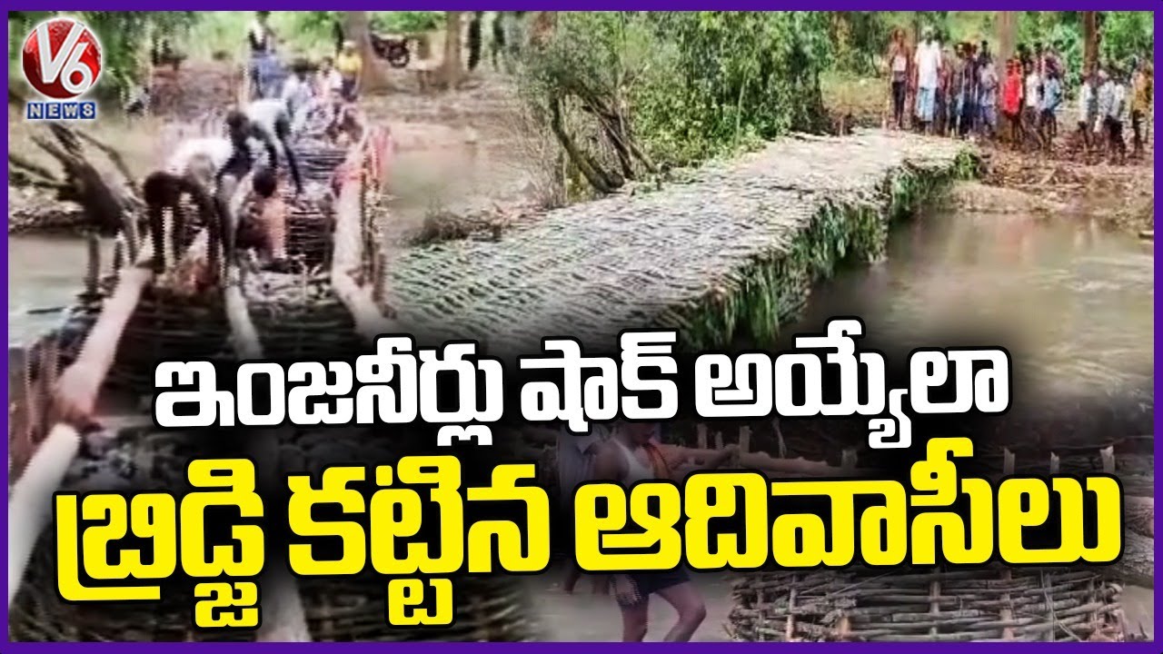 Tribal People Builds Bridge With Bamboo Sticks | V6 News - YouTube