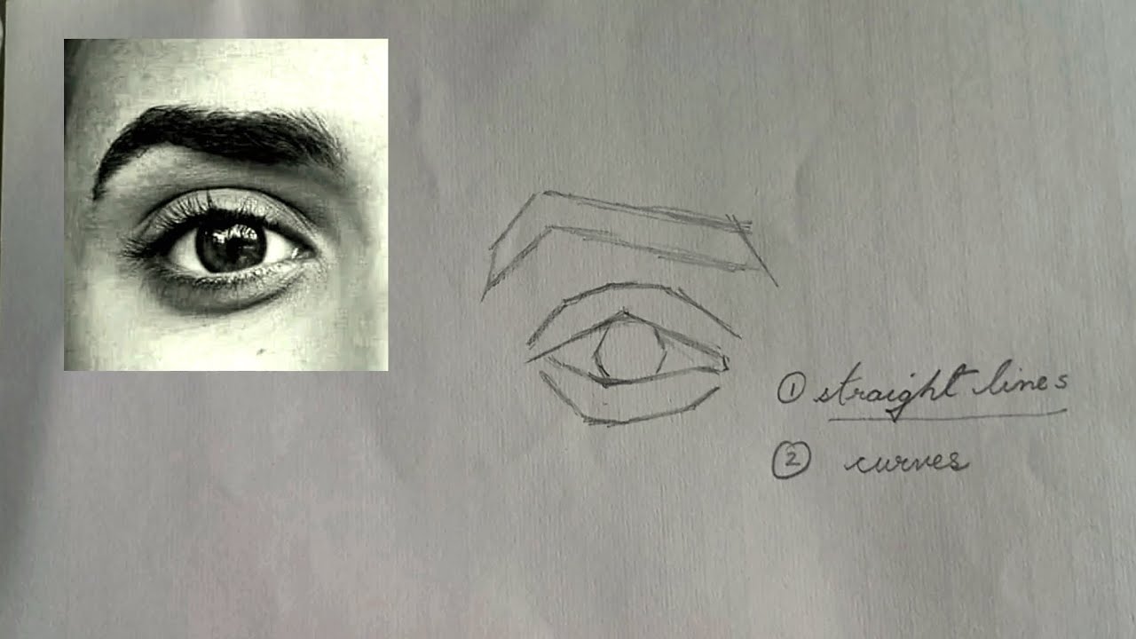 Understanding an Eye through Straight Lines||Body Simplification||Easy ...