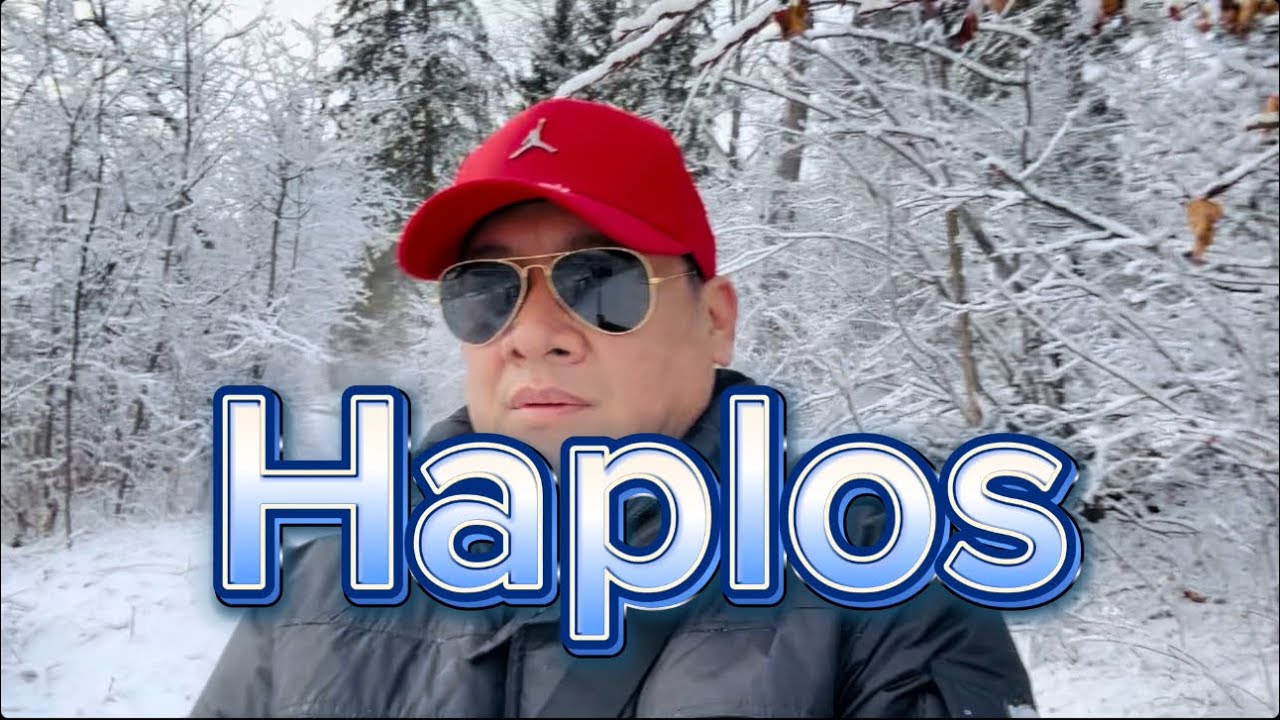 Haplos - Shamrock cover by Reedzrj tv - YouTube