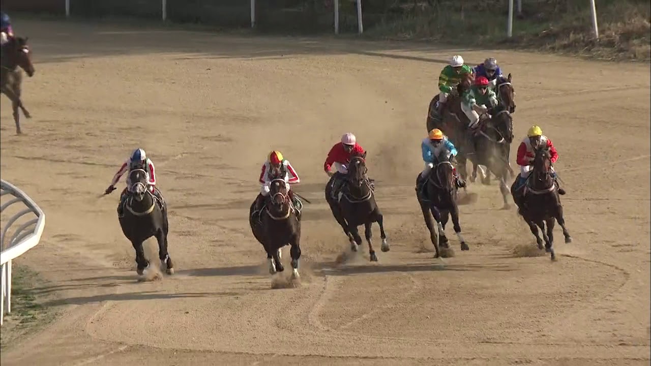 20201107 2YO 1200m (Race 2) 武汉速度赛马公开赛D3 第2场 2岁马 1200米 - YouTube