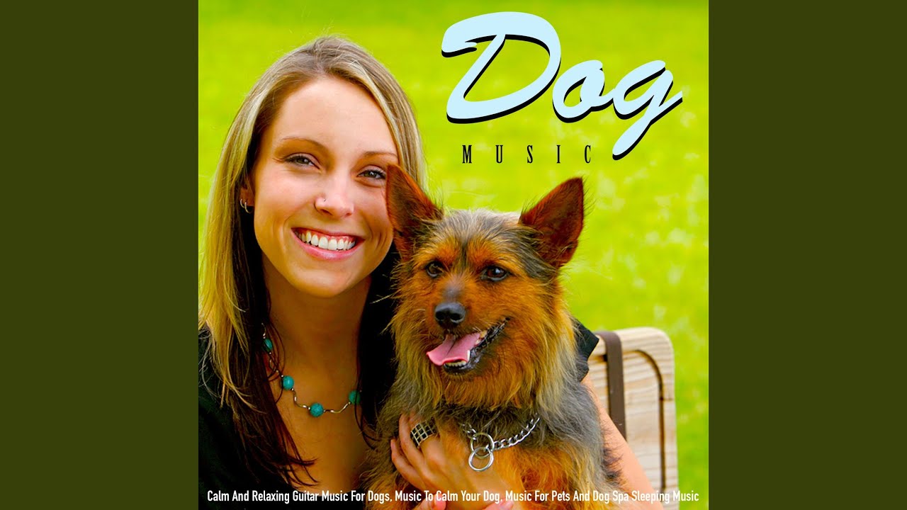 Relaxing Guitar Music For Pets - YouTube Music