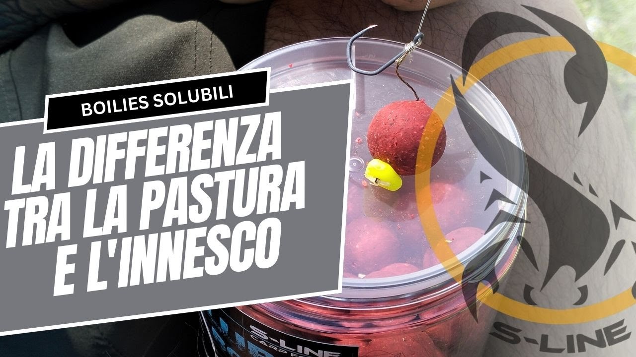 Boiles Solubili....che differenza c'è tra innesco e pastura? - YouTube