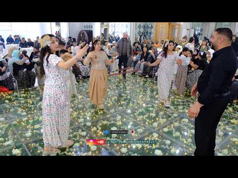 meşe ailesi #oynuyor #yeni  #ankara  #romandüğünleri #2026 #toprakprodüksiyon #dance #romanhavası