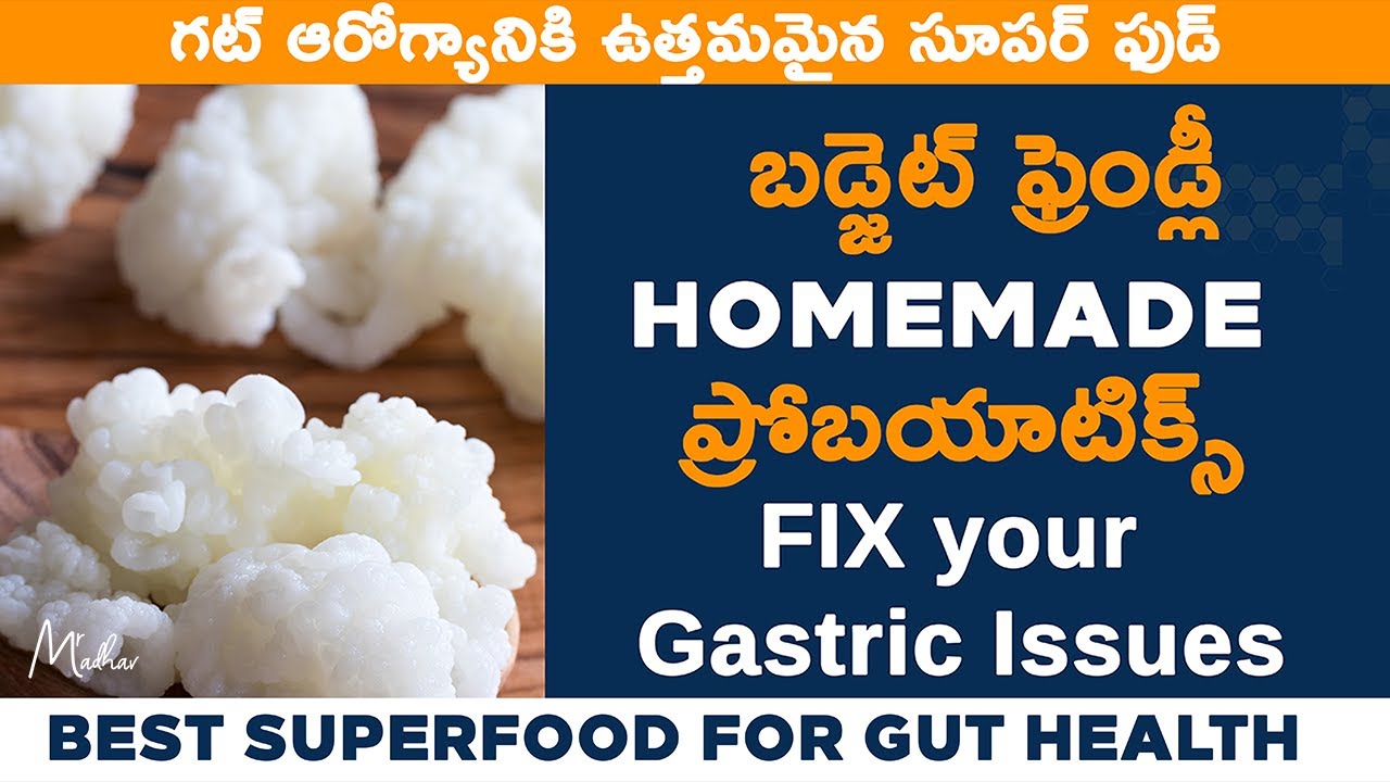 Curd Vs Kefir | Kefir Benefits | How it helps in Gut health | హోమ్ మేడ్ ...