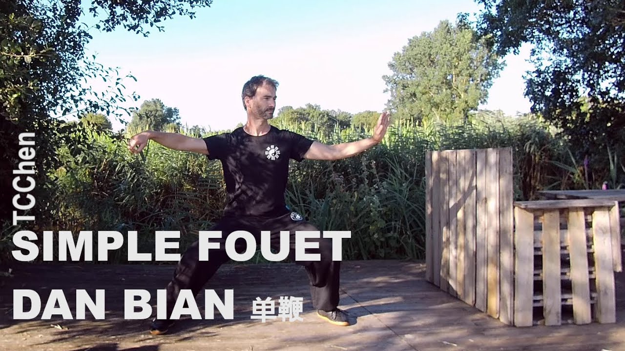 Simple Fouet (dan bian 单 鞭) du tai chi chuan style Chen : explications ...