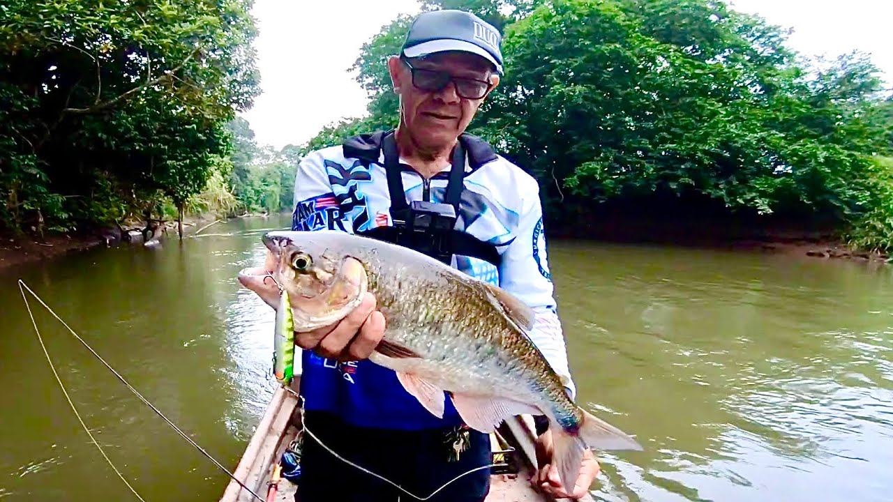 Pesca de Machaca en el río Jimenez Limón Costa Rica - YouTube