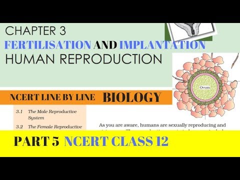 Part-5 HUMAN REPRODUCTION (FERTILISATION AND IMPLANTATION) chapter-3 ...
