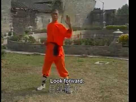Shi de Ci - Shaolin Chaoyang Fist
