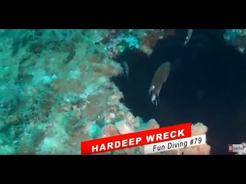 Hardeep Wreck [Fun Diving #79] - YouTube