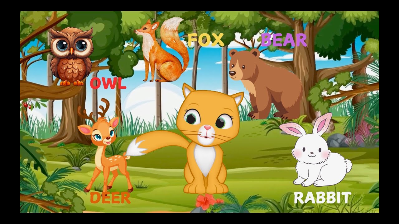 🌳 Meet Forest Animals with Eli! Deer, Owls, Foxes, Bears & Rabbits 🦌🦉🦊🐻 ...
