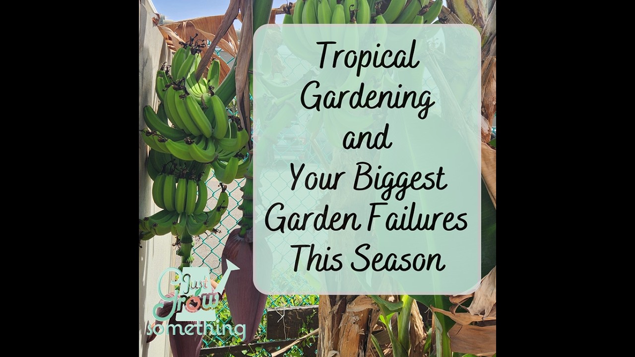 Tropical Gardening, Plus Your Biggest Garden Failures of the Season ...