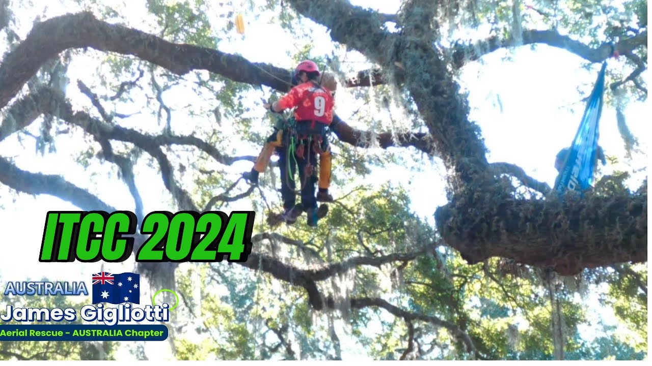 AUSTRALIA Chmpion James Gigliotti Doing Aerial Rescue At The ITTC 2024 - YouTube