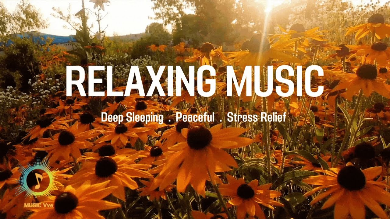 Beautiful Flowers with Relaxing Music, Instrumental Music, Soothing ...