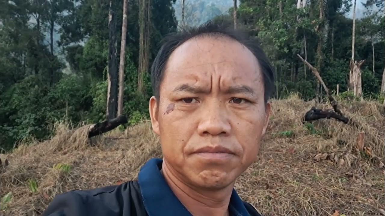 ngob zoo hnub tshiab rau kv cov phooj gwg kv coj peb mu ncig saib room hav mloog Kab noog quaj ...