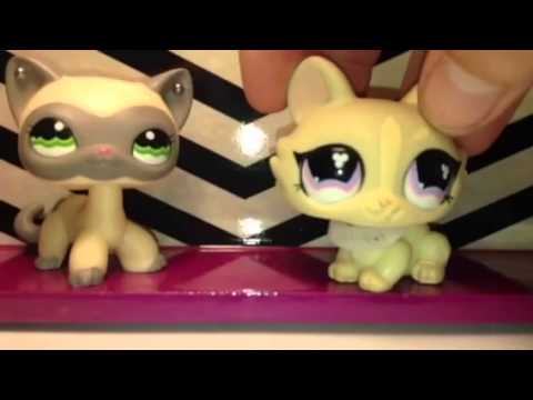 My New LPS!! + maybe vlogs?? - YouTube