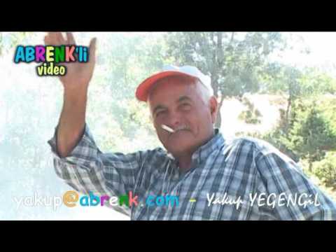 ADEM AYAZ-  İĞDE ÇİÇEĞİNE DİLEK DİLEDİM