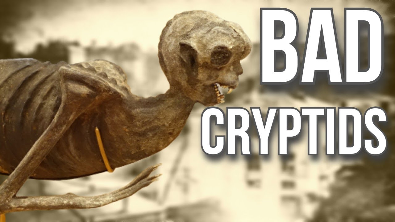 Really Stupid Cryptids Youtube