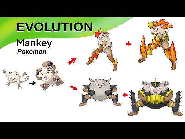Primeape Evolution Chart