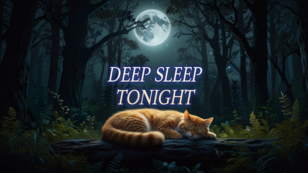 [Deep Sleep Tonight]깊은 잠의 세계로 당신을 인도해줄 수면음악 3시간 - YouTube