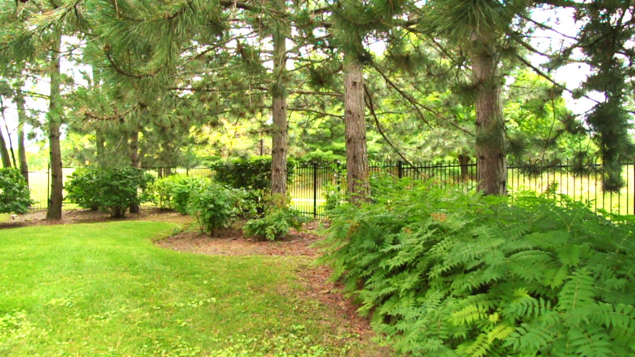 Park Bushes Rustling - YouTube