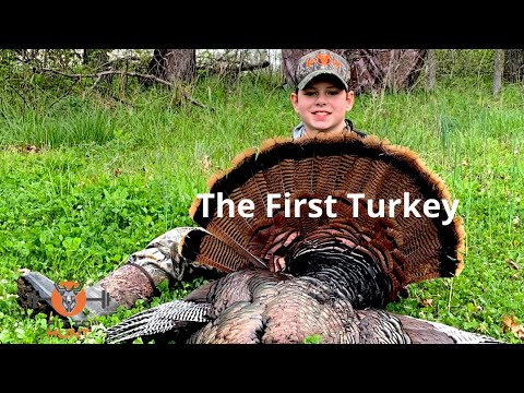 The First Turkey - YouTube