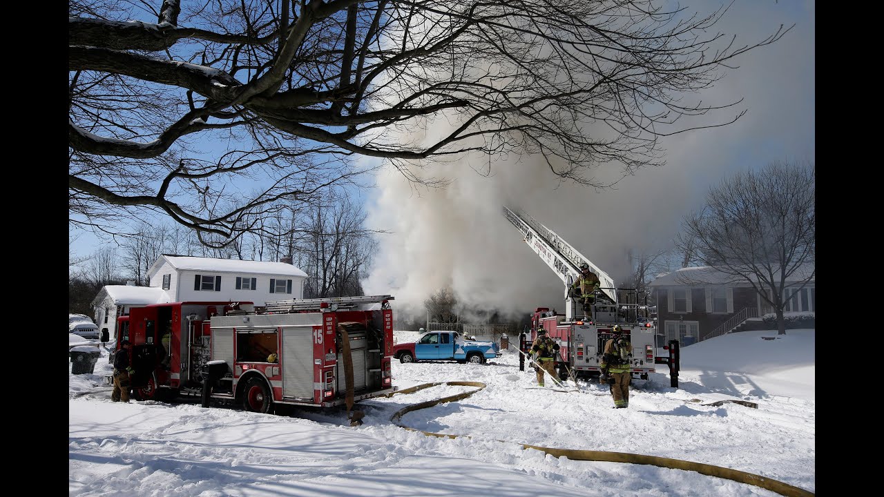 Firefighters revive cat after fire destroys home following winter storm ...
