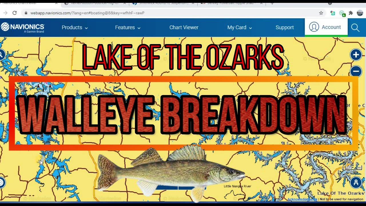 WALLEYE BREAKDOWN | Lake of the Ozarks - YouTube