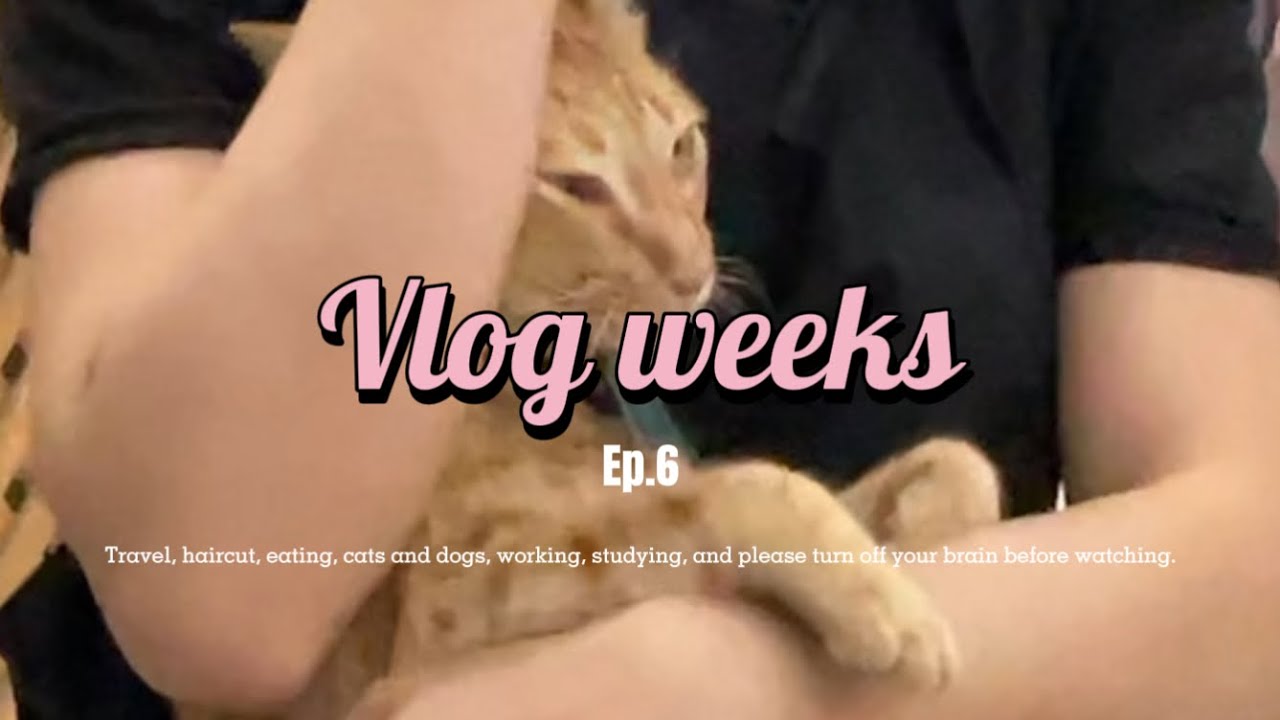Vlog weeks (CDMI) / ep.6 - YouTube
