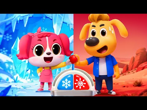Hot VS Cold Challenge | Healthy Habits for Kids | Fun Story | Educational | Kids Cartoon | BabyBus