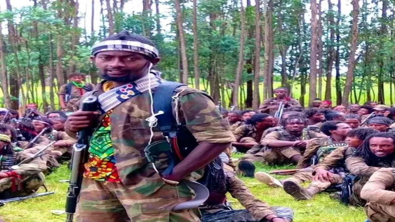 ODUU Hatattama WBO'n injifannoo Argachu itti fufee jira @MilketsaMeia ...