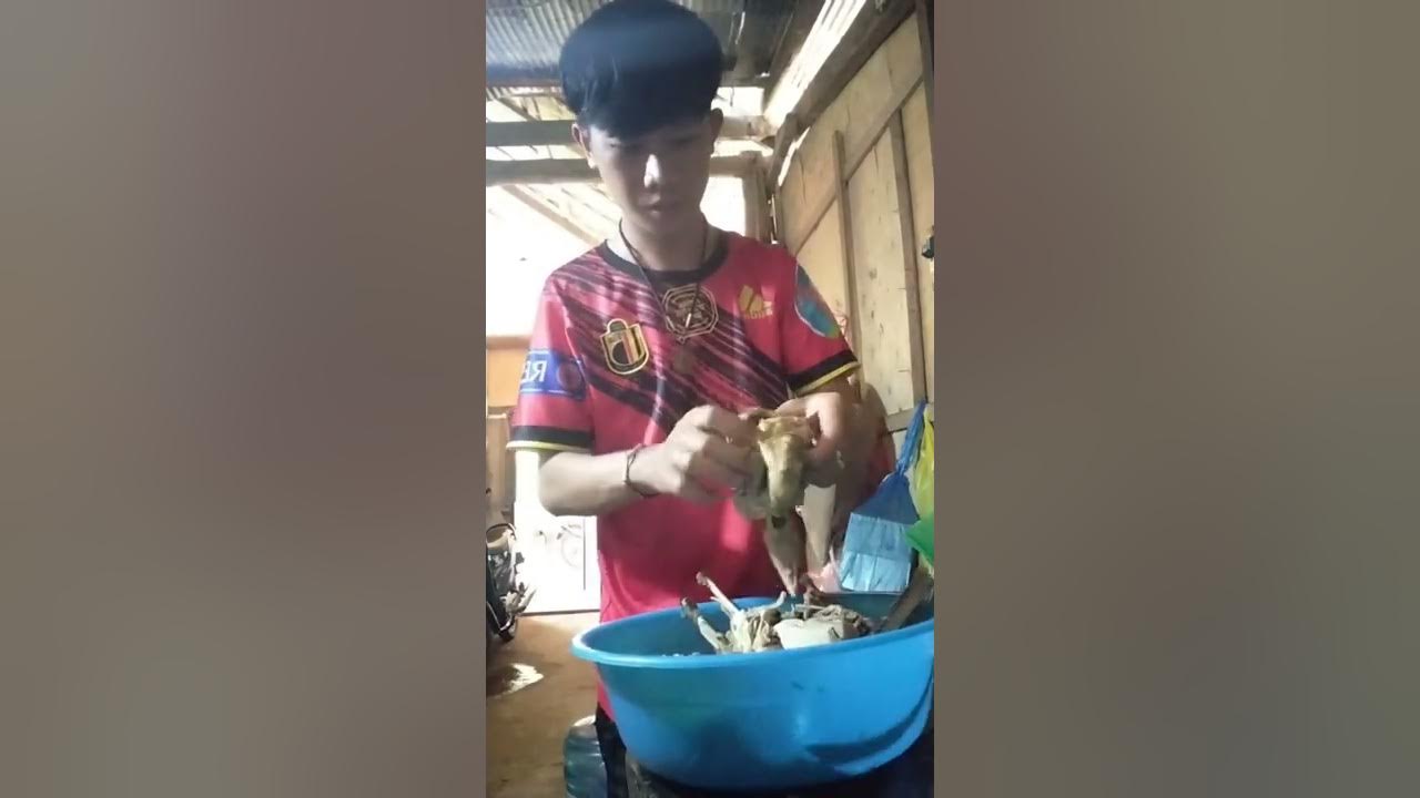 Hnub no peb ua qaib noj nawb 10/8/22 - YouTube