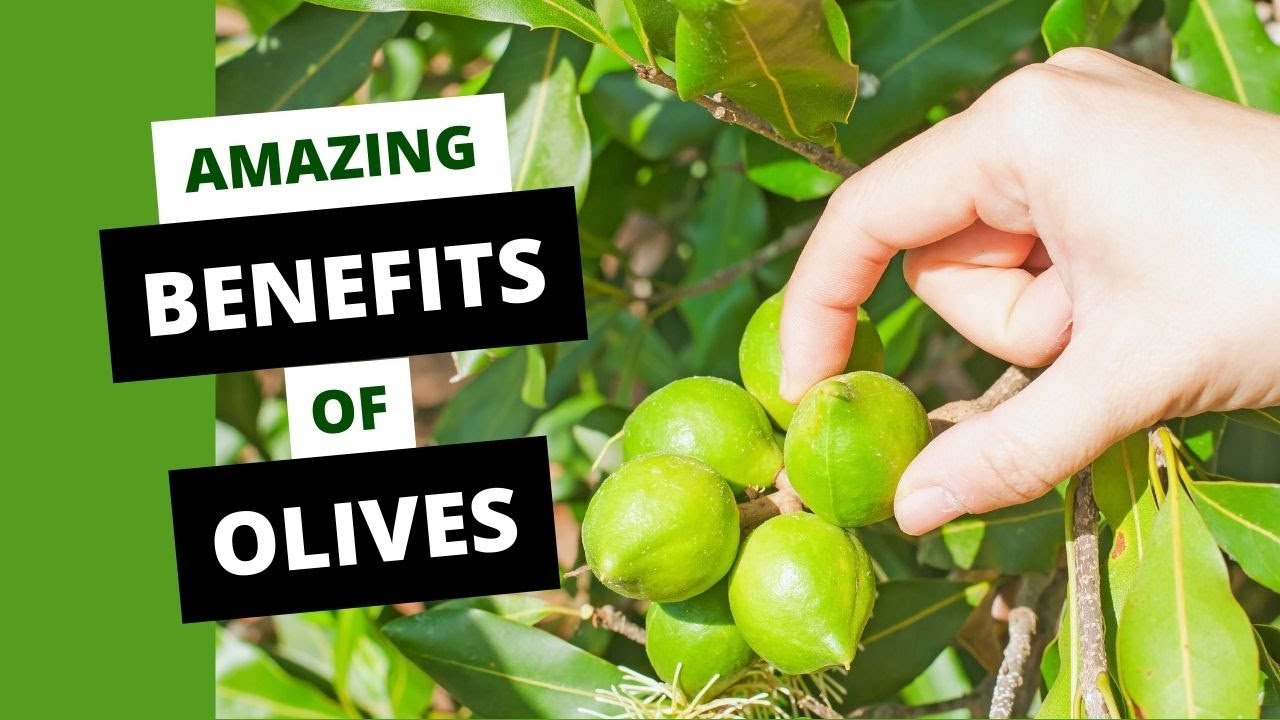 Discover The Power Of Olives Top 10 Health Benefits Unlocked - YouTube