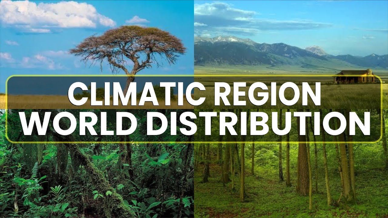 Climate Types of the World - Important for UPSC || IAS || Prelims - YouTube