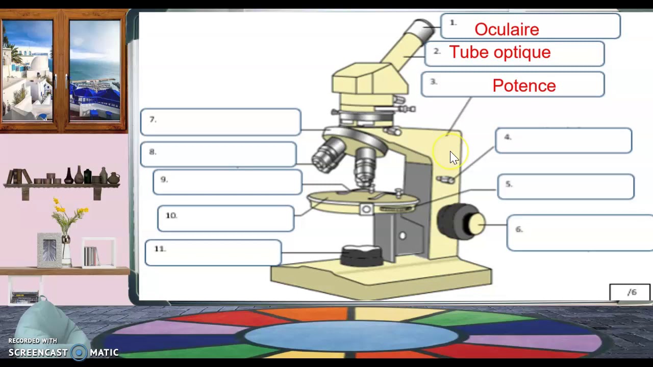 Les composantes d'un microscope - YouTube