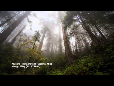 Alucard - Detachment (Original Mix)[ALLEYS001][TBT020]