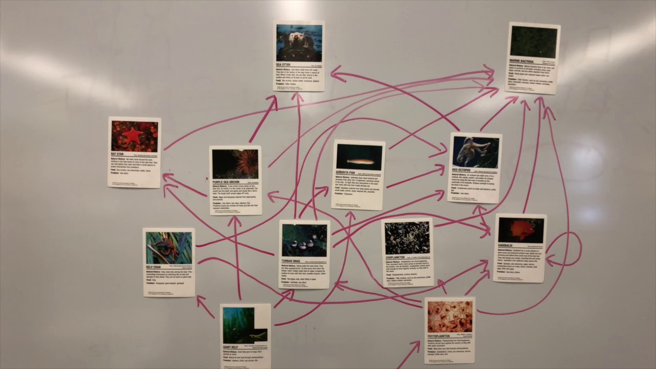 Fifth Grade, Life Science, Lesson 6 - YouTube