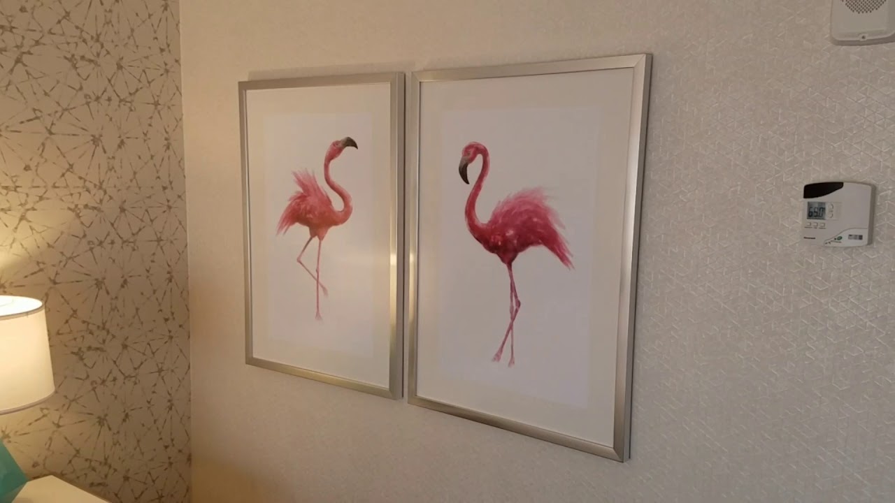 Flamingo Room - Flamingo Hotel - YouTube