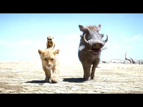 Der König der Löwen 2019 - Timon und Pumbaa