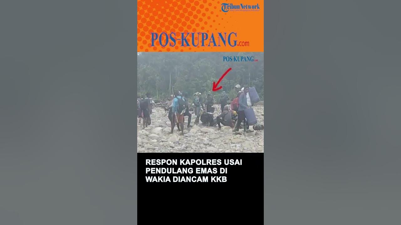 Respon Kapolres Usai Pendulang Emas di Kampung Wakia Tinggalkan Lokasi Akibat Diancam KKB Papua ...