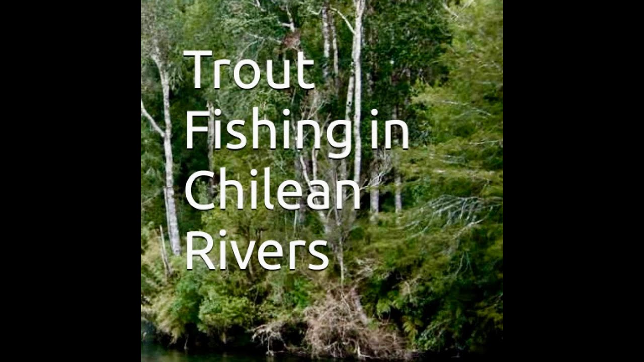 Trout Fishing in Chilean Rivers - 5 (Chapters 8 and 9) #chile # ...