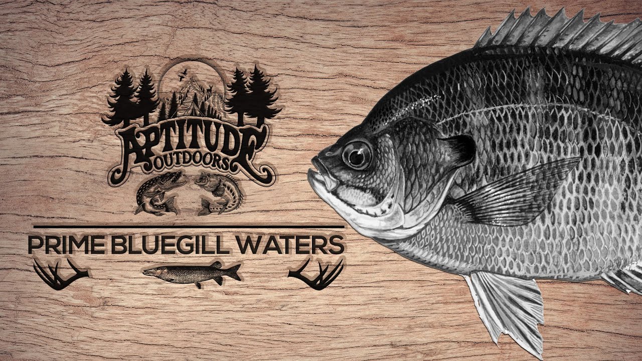 Ep 134: Prime Bluegill Waters - YouTube
