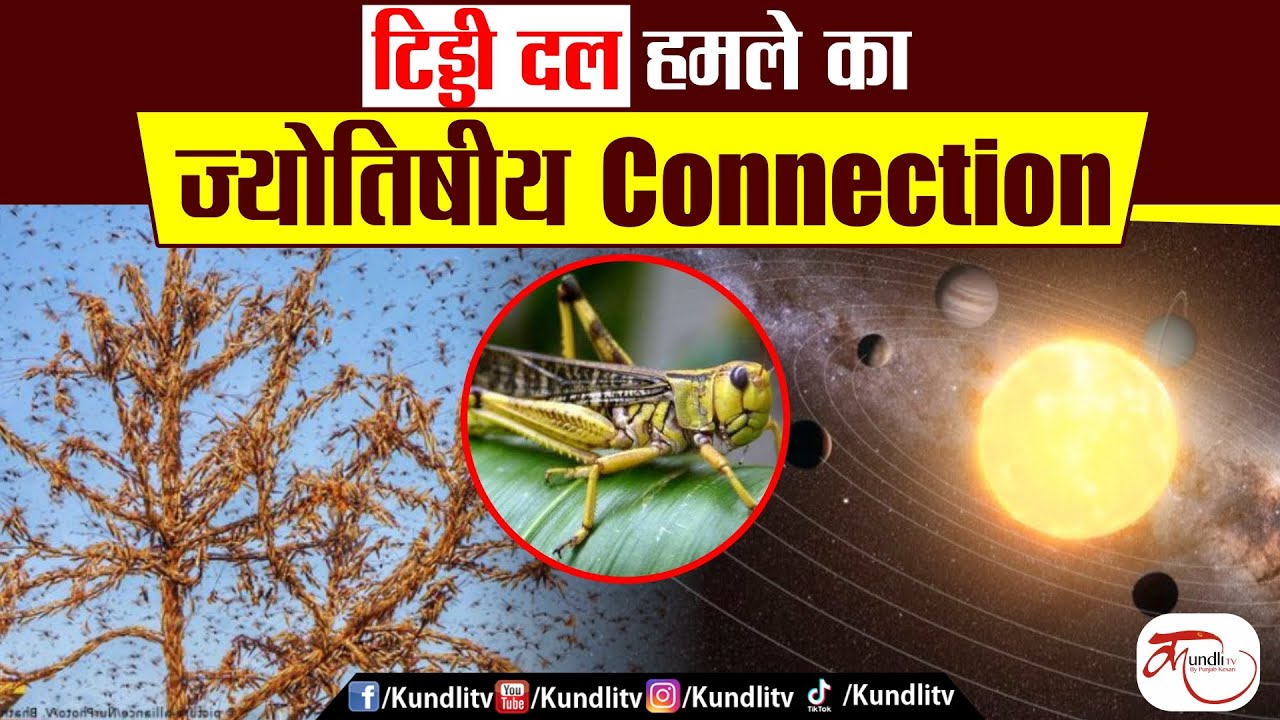 टिड्डी दल हमले का ज्योतिषीय Connection | Tiddi Dal attack in india ...