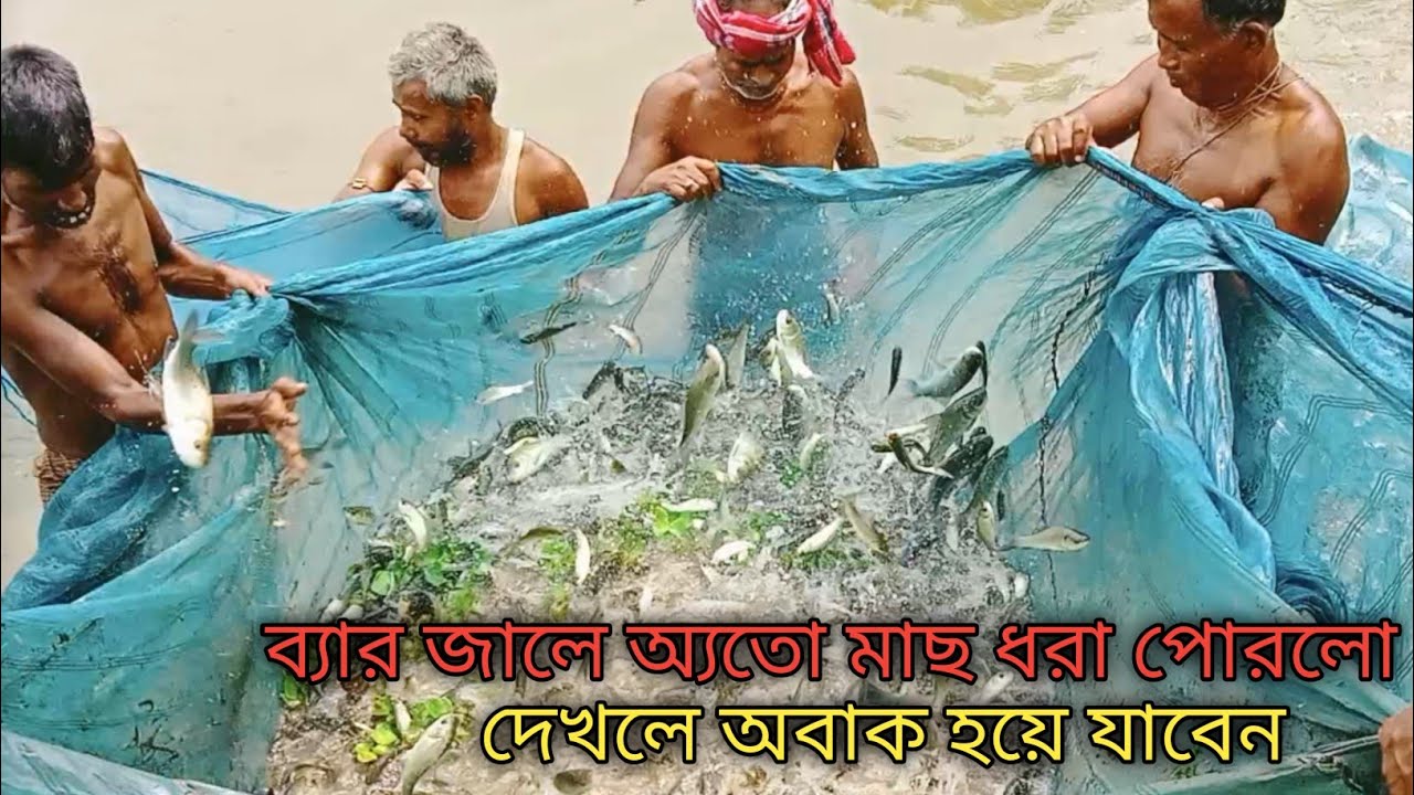 Amazing Big Catch Fishing Small Net Fishing In The Village|Unbelievable ...