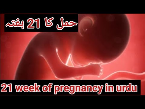 21 week of pregnancy in urdu || 5month pregnancy @TalkAboutHealth5