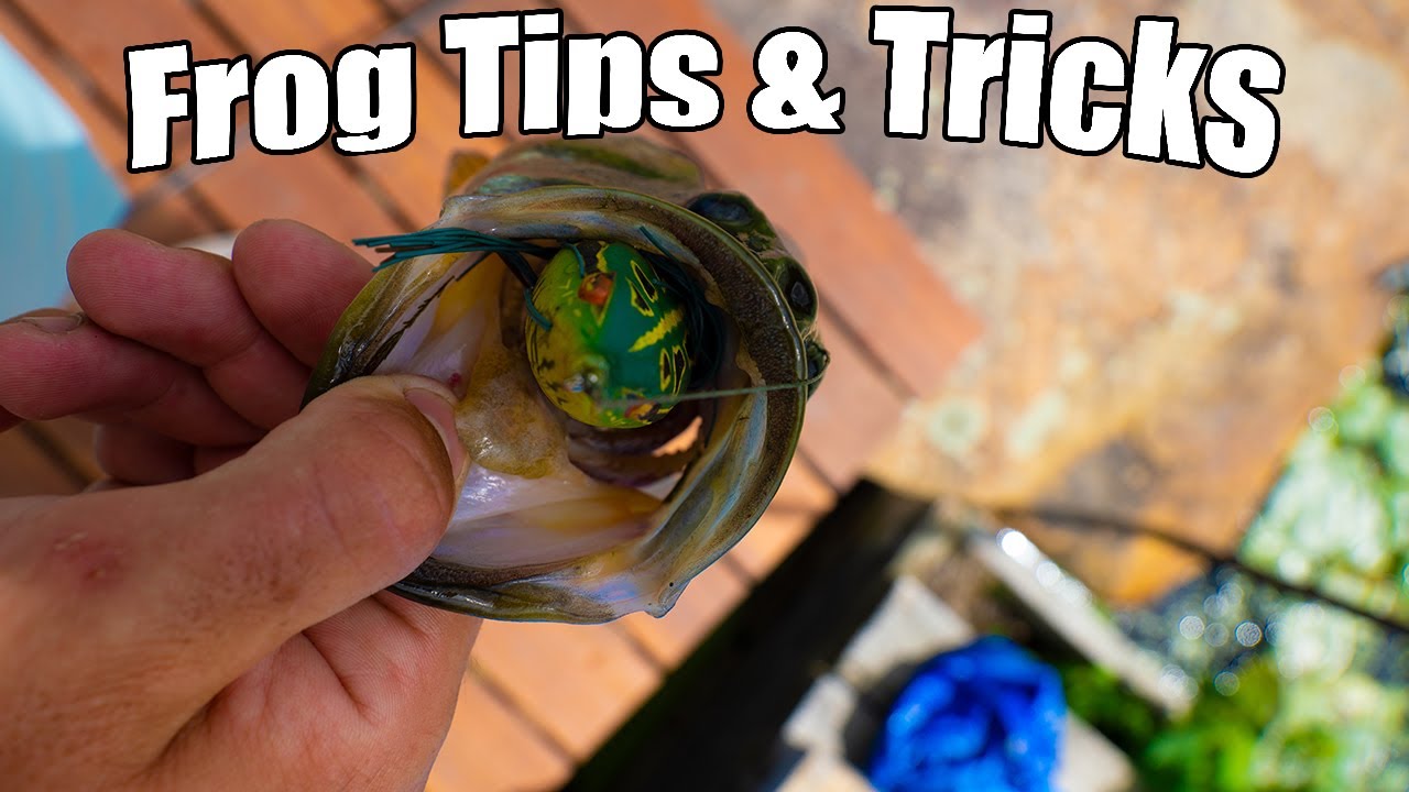 How to Catch More Fish on a (Frog Frog Fishing Tips & Tricks) - YouTube