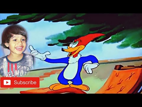 Pica Pau em português | 1 hora de pica pau | desenhos antigos - desenhos animados