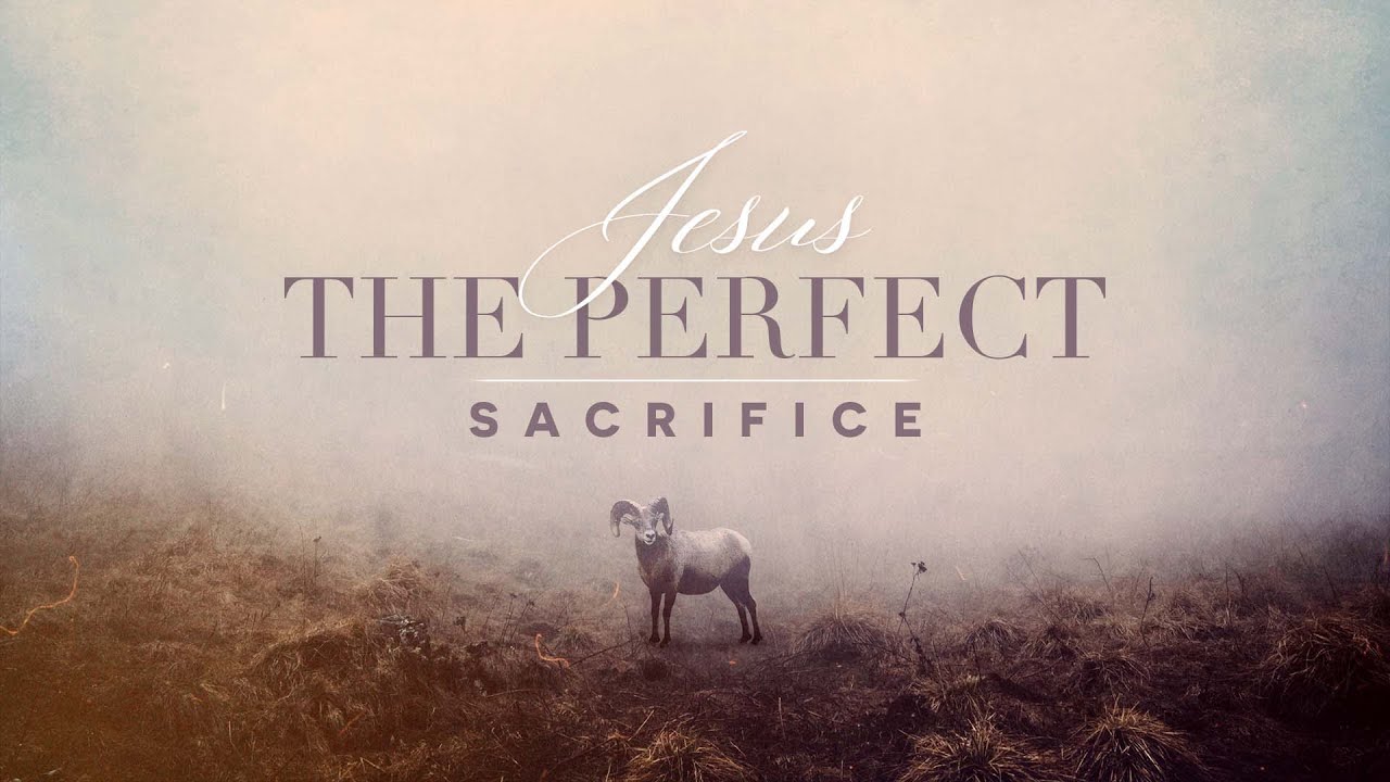 Jesus the Perfect Sacrifice - YouTube