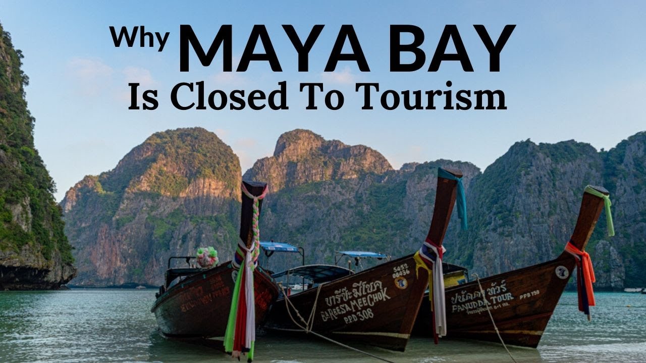 Why MAYA BAY in THAILAND was closed to tourism - Koh Phi Phi Lee Island ...